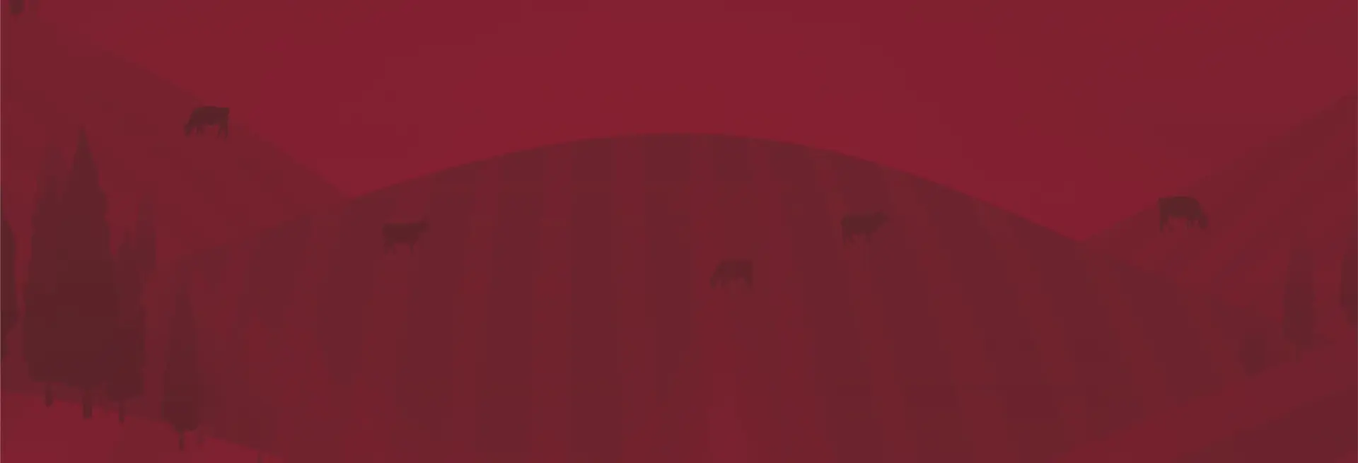 Empresa – Mania Foods